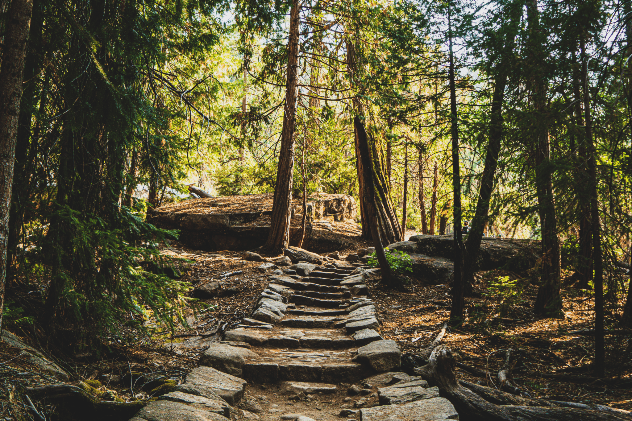 Hiking for Beginners: The Ultimate Guide You Need to Know in 2025 ...