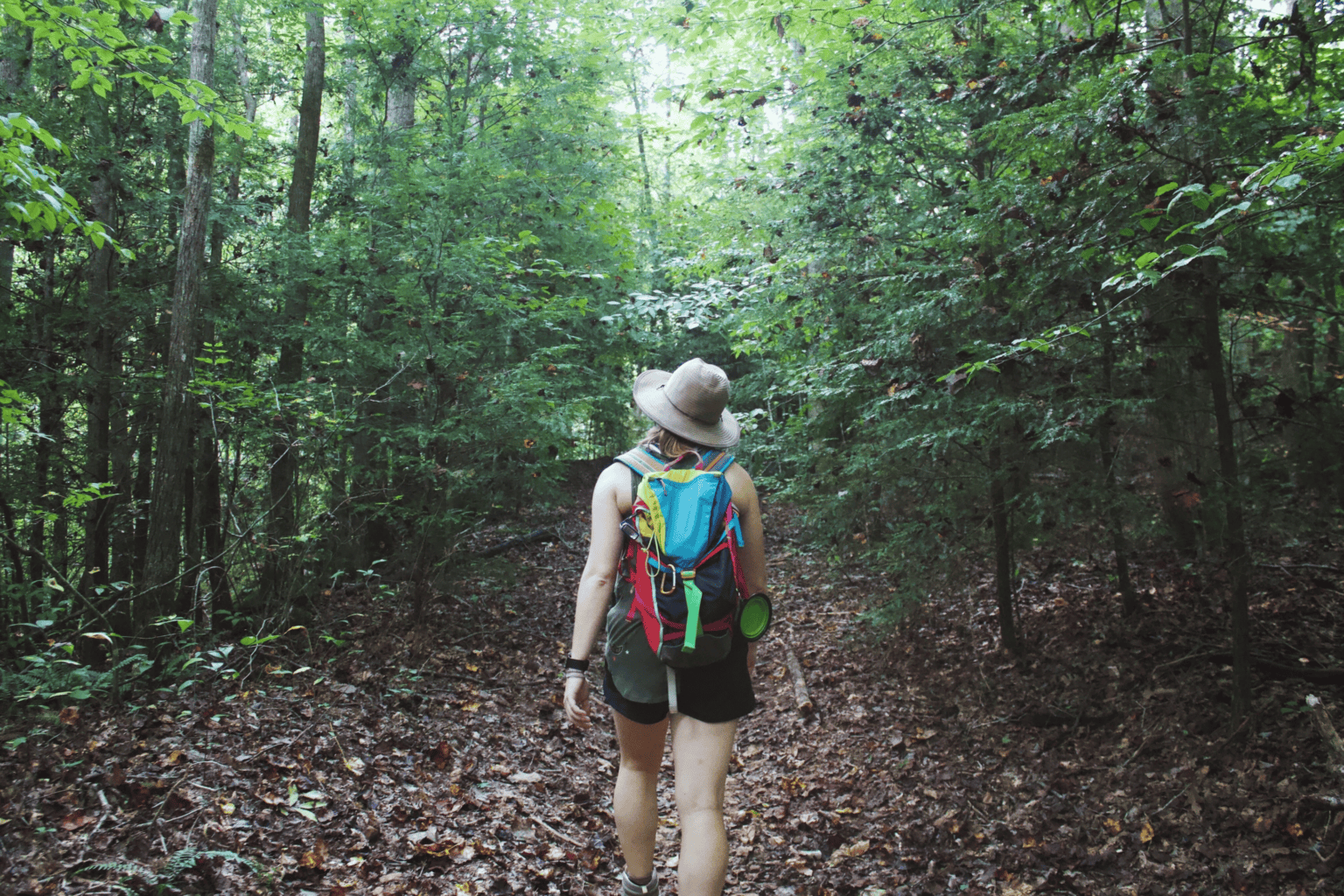 Hiking for Beginners: The Ultimate Guide You Need to Know in 2025 ...